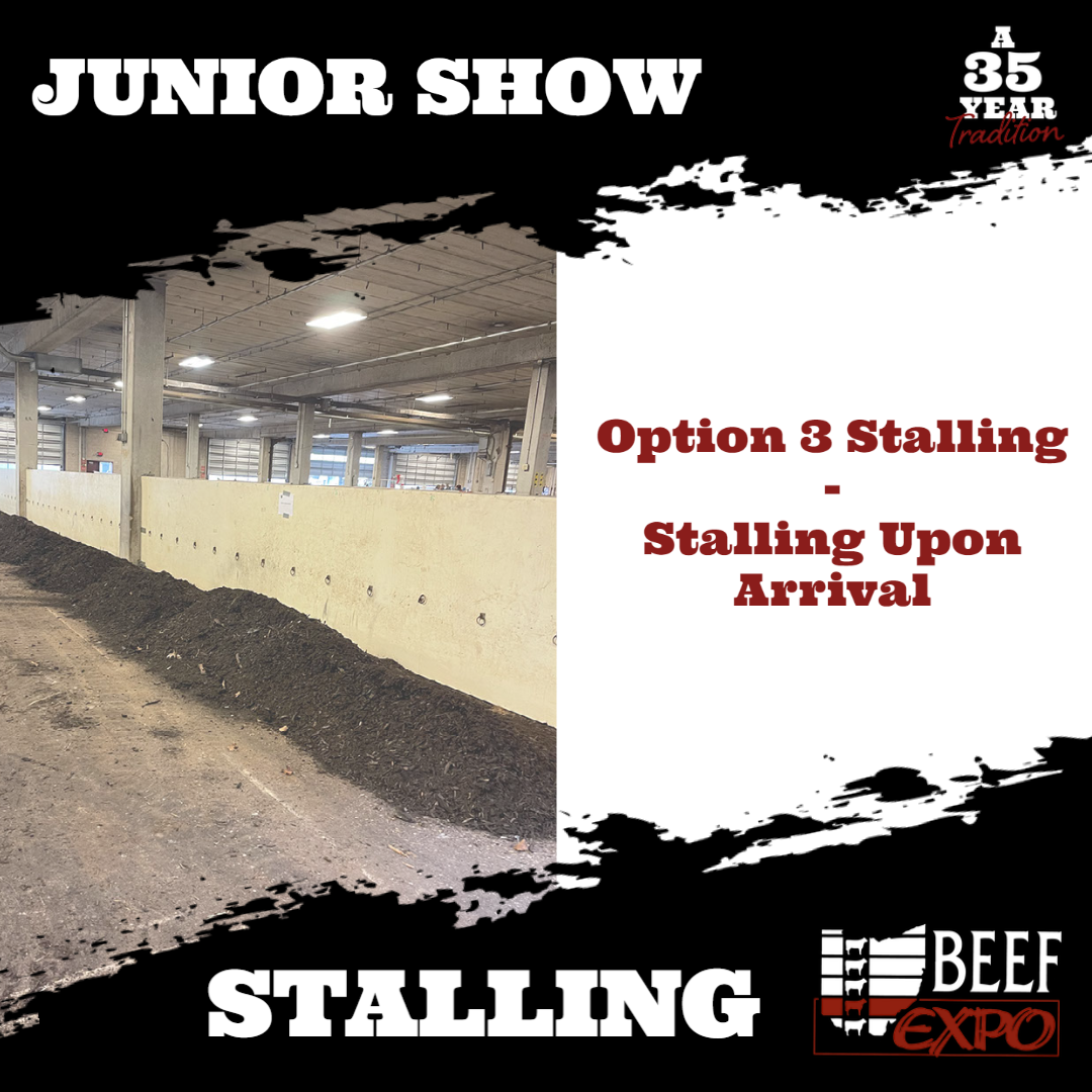 Junior Show Stalling