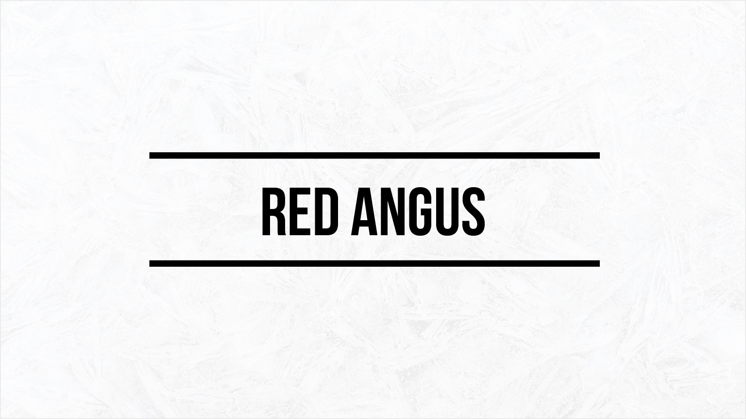 Red Angus